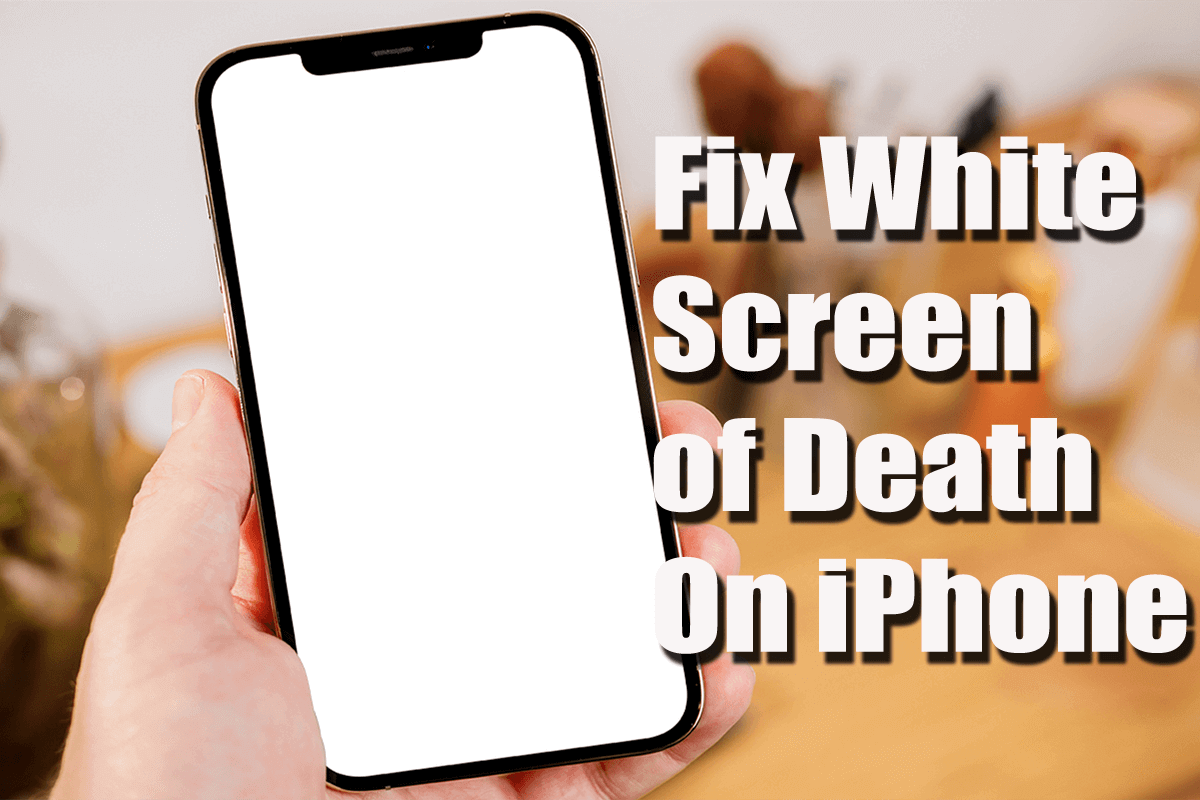 8 Fixes For White Screen Of Death On IPhone 15 14 13 12 8 Fixes For White Screen Of Death On IPhone 15 14 13 12